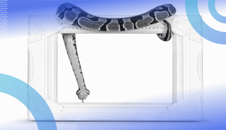 How To Define Empty Variables And Data Structures In Python Built In 9163